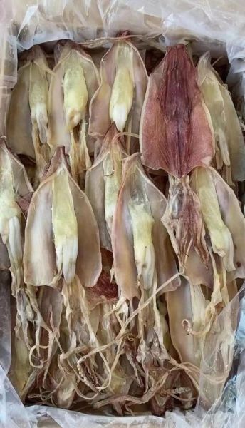 小鱿鱼干怎么泡发_家常做法大全-第1张图片-山城妙识