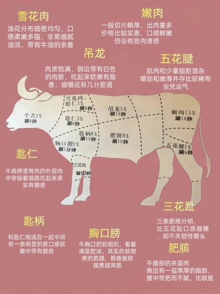 牛肉部位图解大全_哪个部位最适合涮火锅-第2张图片-山城妙识