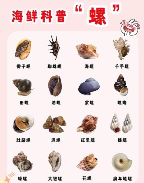 螺的种类有哪些_淡水螺和海水螺区别-第1张图片-山城妙识