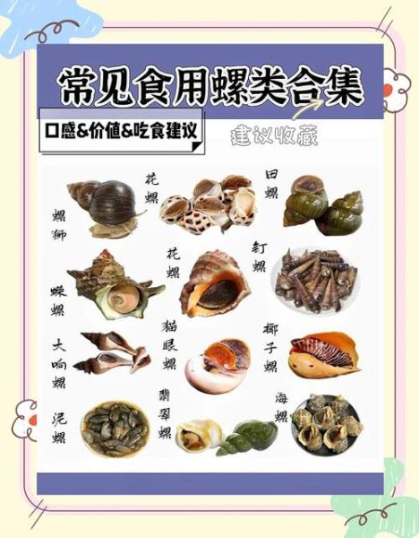 螺的种类有哪些_淡水螺和海水螺区别-第3张图片-山城妙识