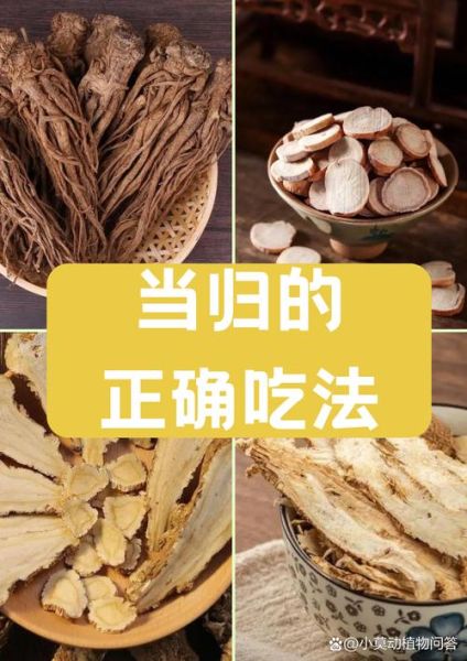 当归的功效与作用吃法_每次用量多少克-第2张图片-山城妙识