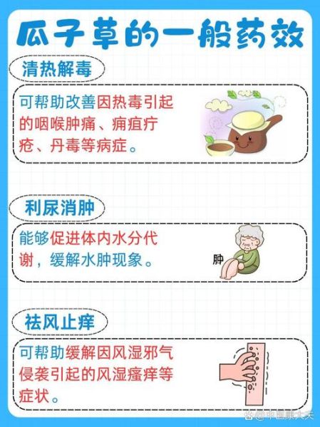 打瓜子的功效与作用_打瓜子能减肥吗-第2张图片-山城妙识 打瓜子的功效与作用_打瓜子能减肥吗-第2张图片-山城妙识