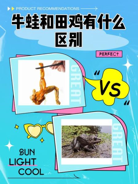 田鸡是什么东西_田鸡和牛蛙的区别-第3张图片-山城妙识