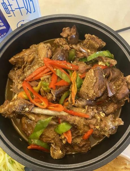 怎么炖鹅肉好吃又简单_家常炖鹅肉的做法窍门-第2张图片-山城妙识 怎么炖鹅肉好吃又简单_家常炖鹅肉的做法窍门-第2张图片-山城妙识