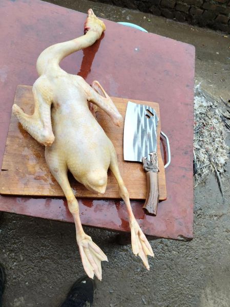 怎么炖鹅肉好吃又简单_家常炖鹅肉的做法窍门-第1张图片-山城妙识 怎么炖鹅肉好吃又简单_家常炖鹅肉的做法窍门-第1张图片-山城妙识