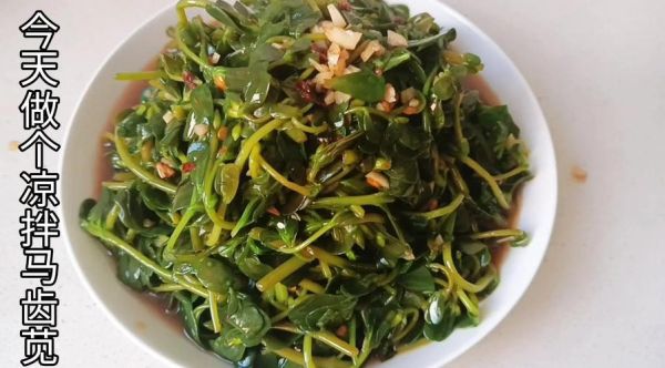 马齿苋菜怎么做好吃_马齿苋菜怎么吃最有营养-第1张图片-山城妙识 马齿苋菜怎么做好吃_马齿苋菜怎么吃最有营养-第1张图片-山城妙识