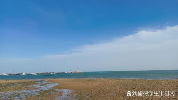 10元5个生蚝利润多少_地摊生蚝成本利润分析-第3张图片-山城妙识 10元5个生蚝利润多少_地摊生蚝成本利润分析-第3张图片-山城妙识