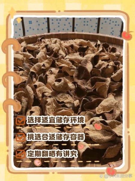 怎样保存陈皮最好_陈皮放冰箱还是常温-第1张图片-山城妙识