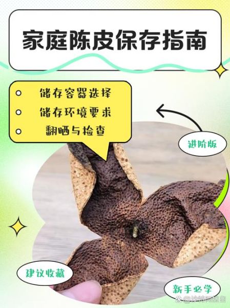 怎样保存陈皮最好_陈皮放冰箱还是常温-第2张图片-山城妙识