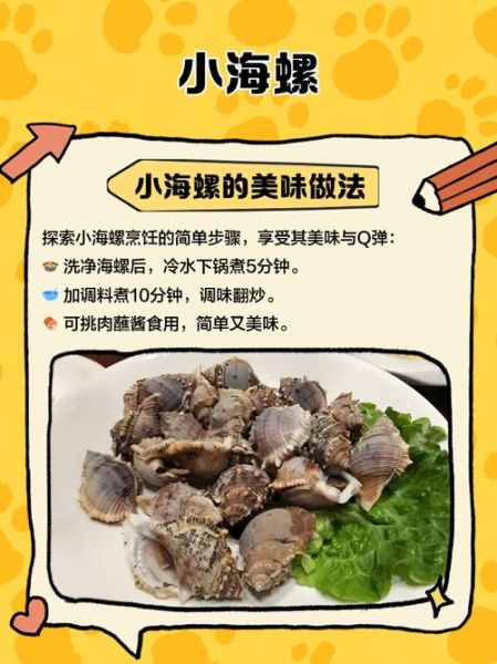 小海螺金牌助教怎么样_小海螺金牌助教值得买吗-第1张图片-山城妙识 小海螺金牌助教怎么样_小海螺金牌助教值得买吗-第1张图片-山城妙识