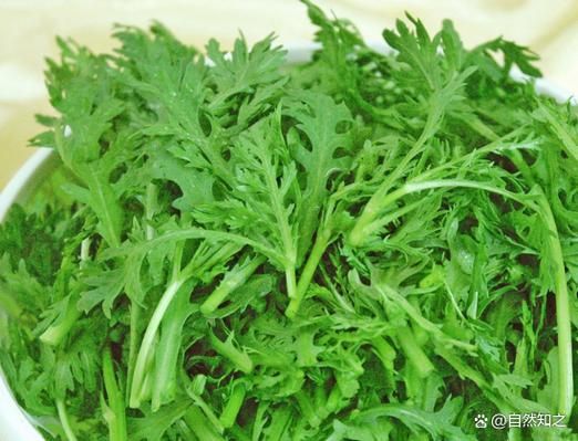 菊花菜有几种图片_菊花菜品种大全-第2张图片-山城妙识