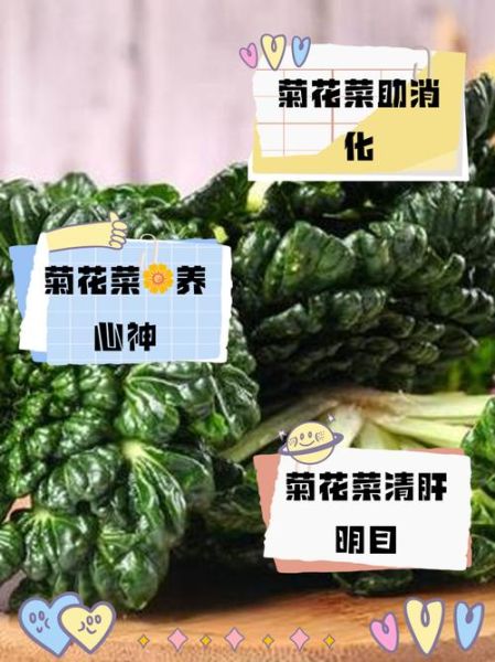 菊花菜有几种图片_菊花菜品种大全-第3张图片-山城妙识