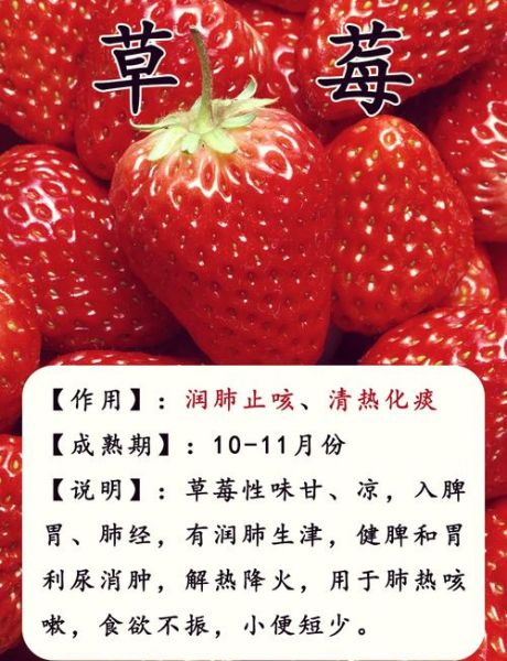 夏天吃什么水果降火_夏季必吃十大水果有哪些-第2张图片-山城妙识