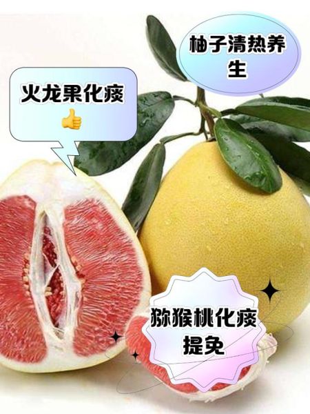 夏天吃什么水果降火_夏季必吃十大水果有哪些-第3张图片-山城妙识
