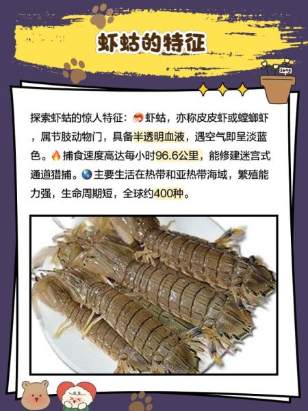 虾蛄为什么叫皮皮虾_皮皮虾名字的由来-第1张图片-山城妙识