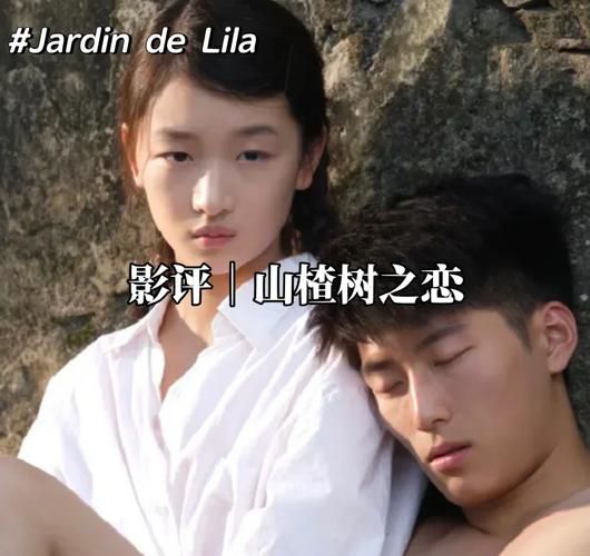 山楂树之恋电视剧免费观看_哪里能看高清完整版-第1张图片-山城妙识