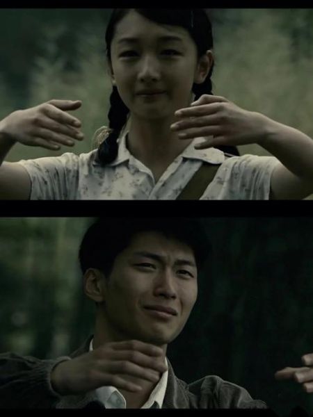 山楂树之恋电视剧免费观看_哪里能看高清完整版-第3张图片-山城妙识