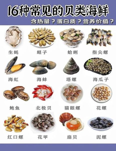 河里的贝类图片名称大全_如何辨别常见品种-第3张图片-山城妙识 河里的贝类图片名称大全_如何辨别常见品种-第3张图片-山城妙识