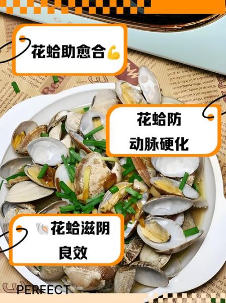 花蛤蟆怎么养_花蛤蟆吃什么-第3张图片-山城妙识