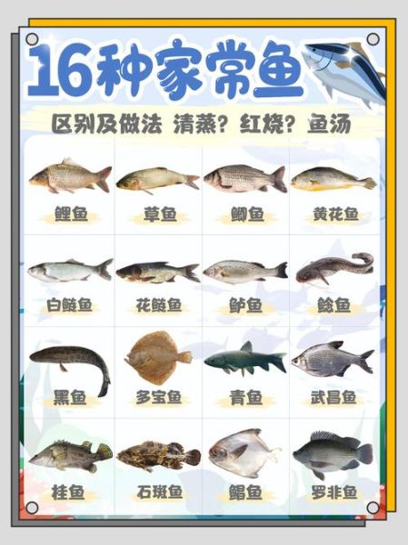 小鱼的做法大全_家常怎么做好吃-第2张图片-山城妙识