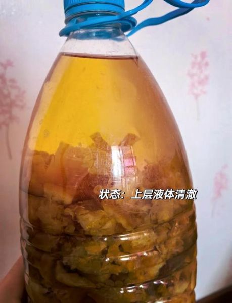 水果酵素怎么做_自制酵素配方大全-第3张图片-山城妙识
