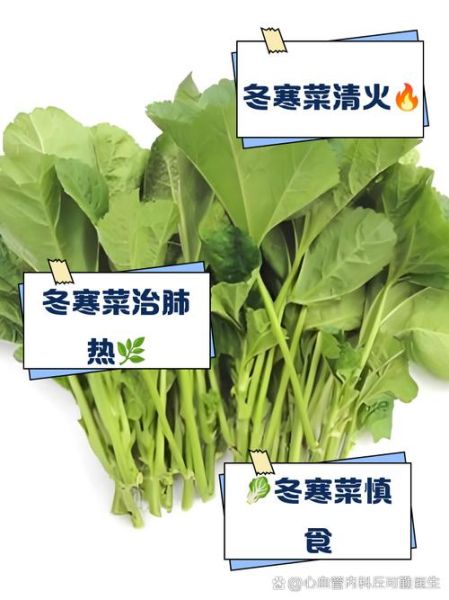 冬寒菜的功效与作用_冬寒菜怎么吃最营养-第1张图片-山城妙识