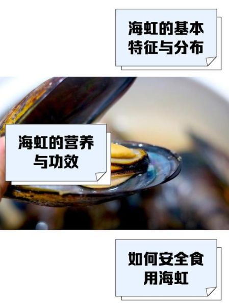 女人为什么不能吃海虹_海虹对女性的危害-第1张图片-山城妙识