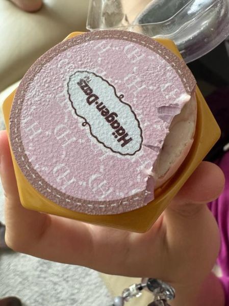 哈根达斯冰淇淋月饼多少钱一盒_哈根达斯冰淇淋月饼口味有哪些-第1张图片-山城妙识 哈根达斯冰淇淋月饼多少钱一盒_哈根达斯冰淇淋月饼口味有哪些-第1张图片-山城妙识