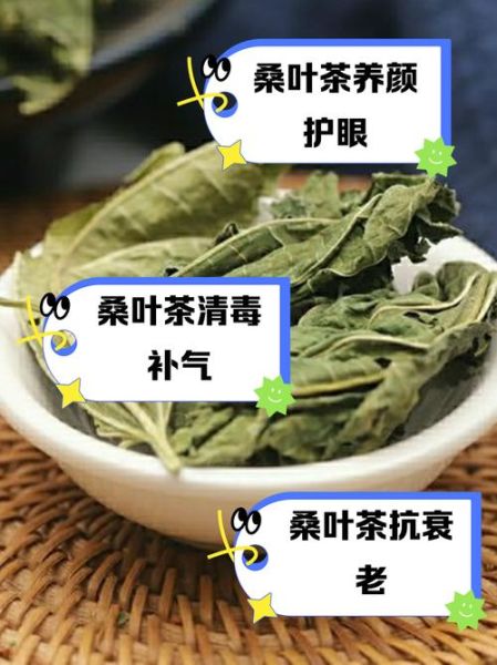 桑叶茶的功效与作用及副作用_适合什么人喝-第2张图片-山城妙识