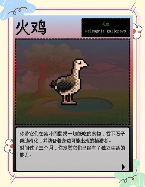 圣诞节吃火鸡吗_火鸡传统由来-第1张图片-山城妙识