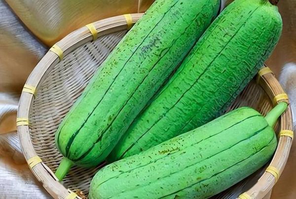 丝瓜是发物吗_丝瓜过敏人群能吃吗-第3张图片-山城妙识