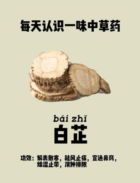 白芷的功效与作用_白芷能美白吗-第1张图片-山城妙识