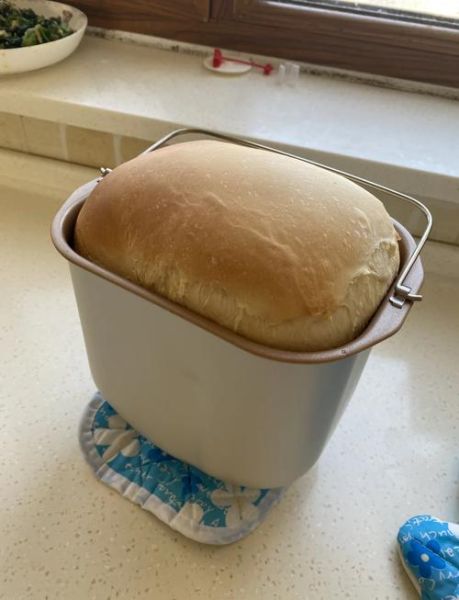 东菱面包机标准面包配方_一次发酵失败怎么办-第2张图片-山城妙识