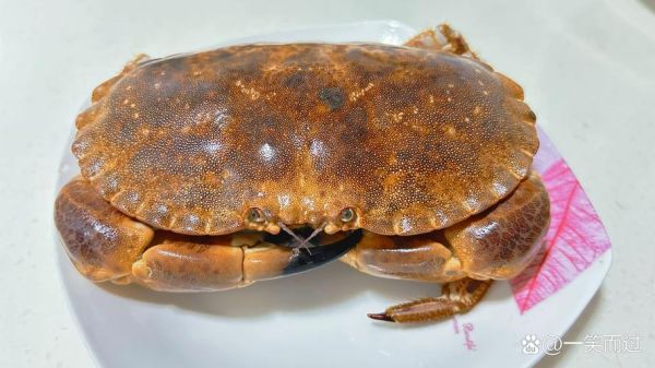 面包蟹多少钱一斤2021_2021年面包蟹价格走势-第1张图片-山城妙识