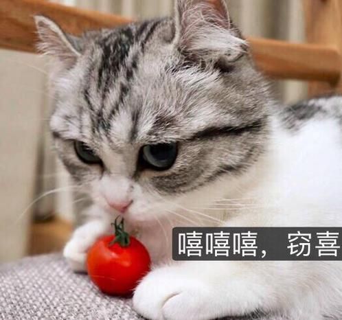 蒲烧鳗鱼饭怎么做_蒲烧鳗鱼饭热量高吗-第1张图片-山城妙识