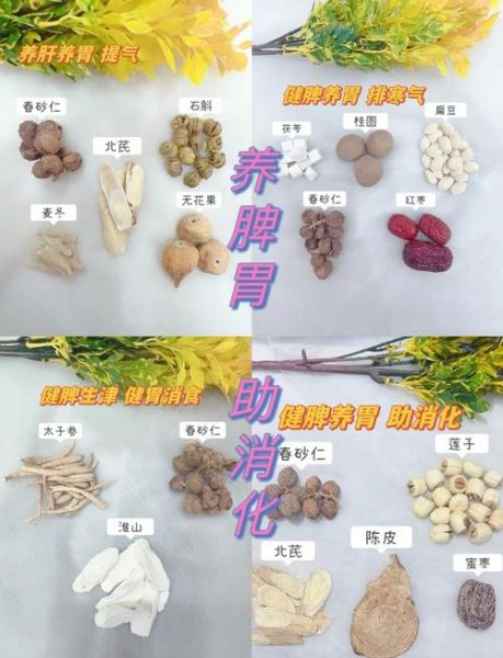 春砂仁怎么吃养胃_春砂仁对胃最好的食用方法-第1张图片-山城妙识 春砂仁怎么吃养胃_春砂仁对胃最好的食用方法-第1张图片-山城妙识