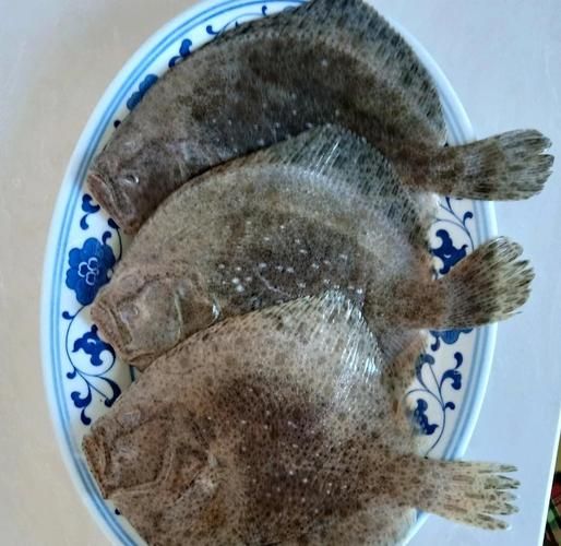 多宝鱼的皮一定要撕吗_不撕皮能不能吃-第2张图片-山城妙识 多宝鱼的皮一定要撕吗_不撕皮能不能吃-第2张图片-山城妙识