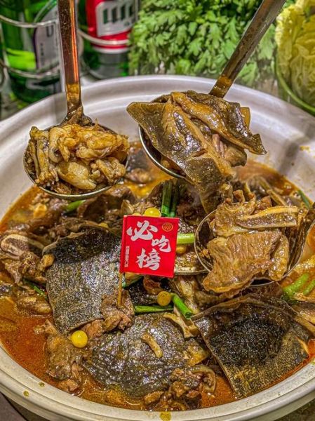 土鳖吃什么食物_土鳖最爱吃什么-第1张图片-山城妙识