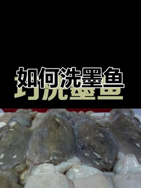 墨鱼怎么处理干净_墨鱼去内脏技巧-第1张图片-山城妙识 墨鱼怎么处理干净_墨鱼去内脏技巧-第1张图片-山城妙识
