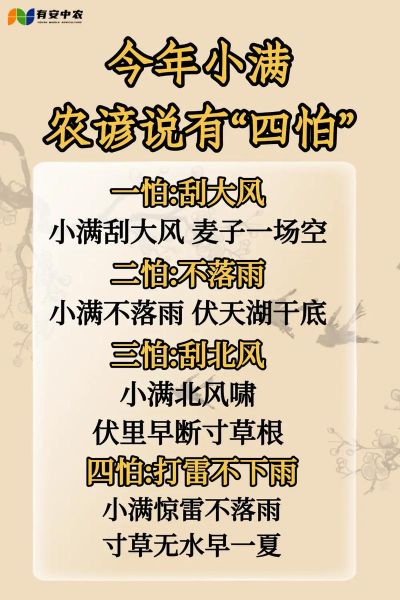 小满的谚语有哪些_小满节气农谚大全-第1张图片-山城妙识