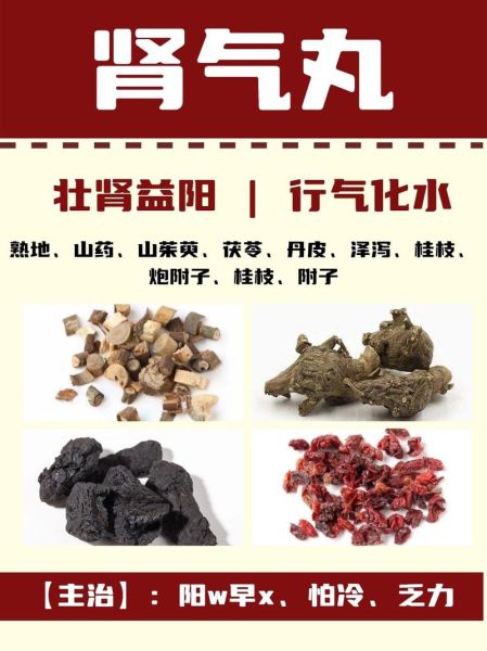 补肾壮阳中药方子大全_哪些药材最有效-第1张图片-山城妙识