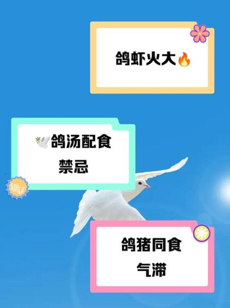 鸽子肉不能和什么一起吃_鸽子肉相克食物表-第1张图片-山城妙识