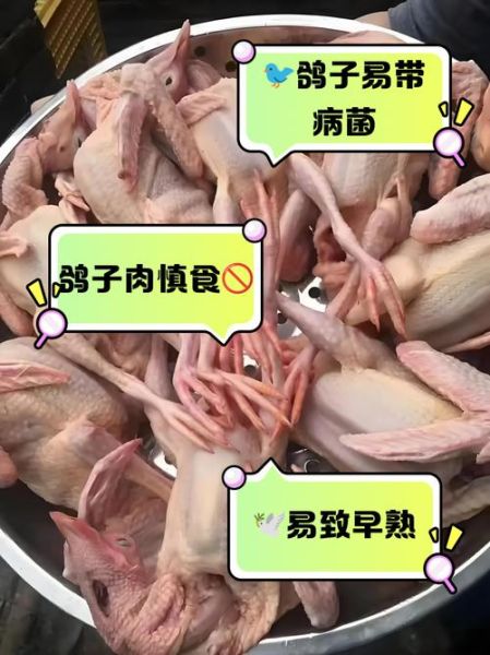 鸽子肉不能和什么一起吃_鸽子肉相克食物表-第3张图片-山城妙识