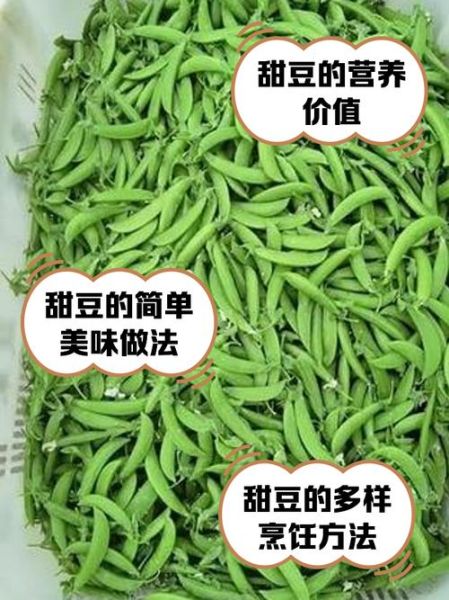 甜豆怎么保存_甜豆可以冷冻吗-第1张图片-山城妙识 甜豆怎么保存_甜豆可以冷冻吗-第1张图片-山城妙识