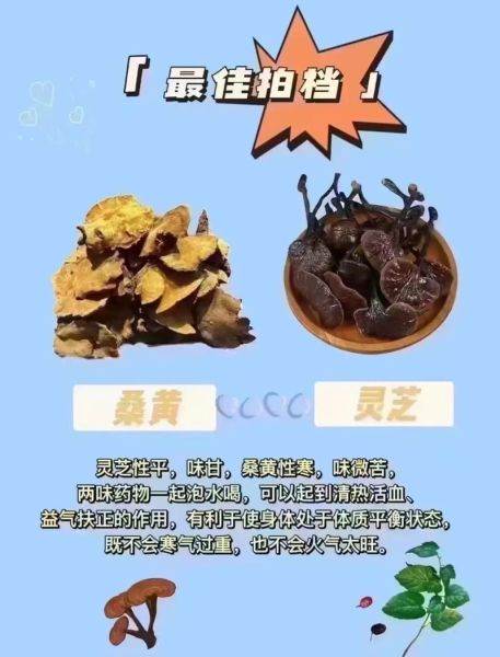 灵芝泡开水喝最佳方法_灵芝泡水温度多少合适-第3张图片-山城妙识