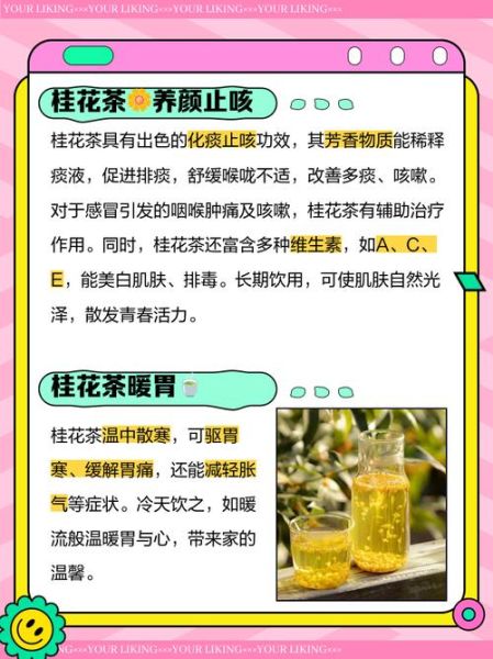 喝桂花茶有什么好处_桂花茶的功效与作用-第1张图片-山城妙识