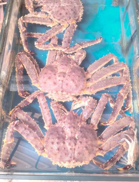 雪蟹和帝王蟹的区别_哪个更好吃-第1张图片-山城妙识