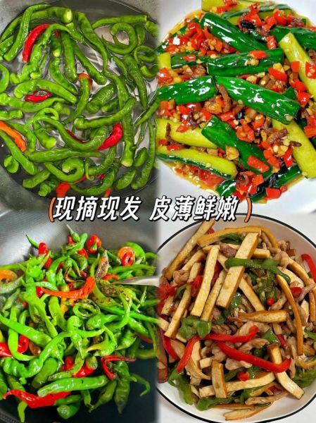 枣庄薄皮辣椒哪里买正宗_枣庄薄皮辣椒怎么做好吃-第3张图片-山城妙识