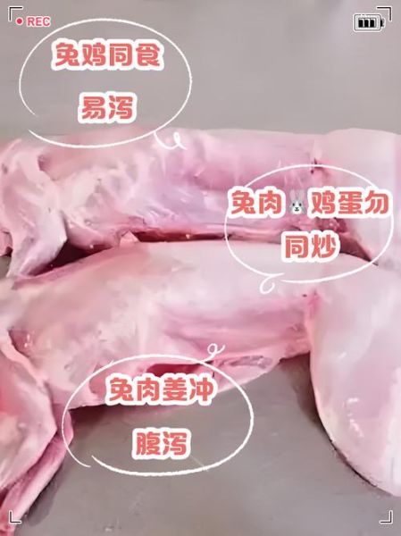 兔肉不能和什么同食_兔肉相克食物有哪些-第1张图片-山城妙识