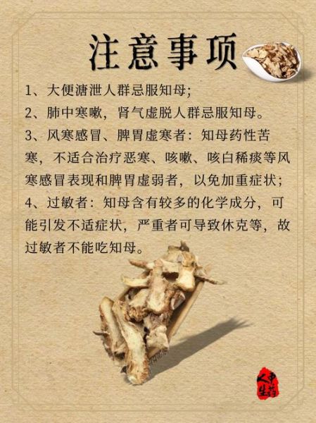 知母的功效与作用_知母能治什么病-第3张图片-山城妙识 知母的功效与作用_知母能治什么病-第3张图片-山城妙识